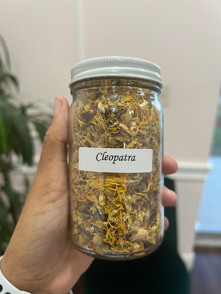 Cleopatra